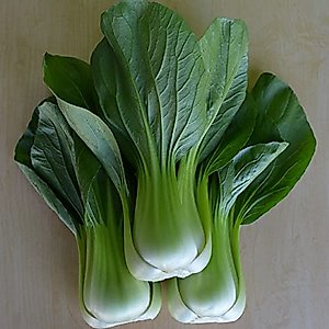 Cabbage Seeds - Pak Choi - Chun Mei - Hybrid - 2 g Packet ~700 Seeds - Non-GMO, F1 Hybrid - Asian Garden Vegetable