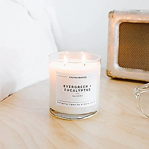 Evergreen & Eucalyptus Scented Candle, Soy Wax Candles for The Home Scented with Phthalate Free Oils, 3.5 x 3 inch, 8.8 oz, 37 Hour Burn Time Fall Candles & Home Decor in Glass Jar - Calyan Wax