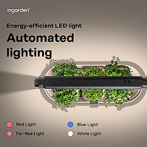 ingarden Microgreens Growing Kit - Organic Superfood Sprouting Seed Pads (3) | Auto 4-Stage LED Grow Lights & Hydroponic Watering System | Chic Steel Frame & Ceramic Bowl, Plastic-Free [Rose]