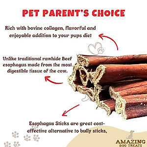 Amazing Dog Treats Gullet Sticks for Dogs- (6 Inch - 20 Count) - Jerky Chews for Dogs - Esophagus Beef Gullet