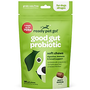 Probiotic Chews for Dogs Gut Health | Tasty Pre and Probiotics for Dogs Digestive Health with Pumpkin Dog Probiotics and Digestive Enzymes | NASC Certified & Made in The USA | 90 Chews