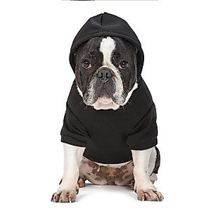 Friends the TV Show WB Friends Dog Hoodie, Black with Friends Logo, Size Medium with Hood and Pocket for Treats or Waste Bags | Friends Show Pet Products| Pet Clothes for Friends Lovers (FF20719)