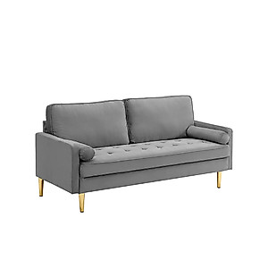 JDMYC Furniture 67" Velvet Loveseat Sofa with Golden Metal Legs, Modern Couch for Living Room, Bedroom, Small Spaces, and Guest Room (Grey)