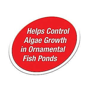 Tetra Pond Block 4 Count, Controls Algae Growth In Ornamental Fish Ponds (16735)