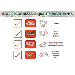 Bench & Field Holistic Natural Premium Adult Dry Cat Food, Chicken Meal and Brown Rice Recipe 3 lb Bags (Pack of 3)