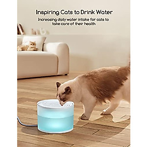 Meowant Cat Water Fountain with Wireless Pump, 74OZ/2.2L BPA-Free Cetified Cat Fountain, Ultra Quiet Pet Water Fountain for Cats and Dogs with Filter