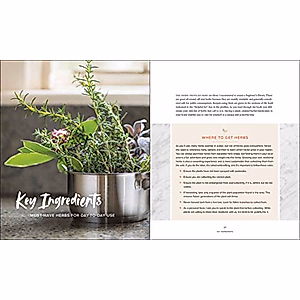 Master Recipes from the Herbal Apothecary: 375 Tinctures, Salves, Teas, Capsules, Oils, and Washes for Whole-Body Health and Wellness