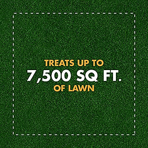 Spectracide Weed & Feed 20-0-0 (Ready-to-Spray) (32 fl oz), 1 pack