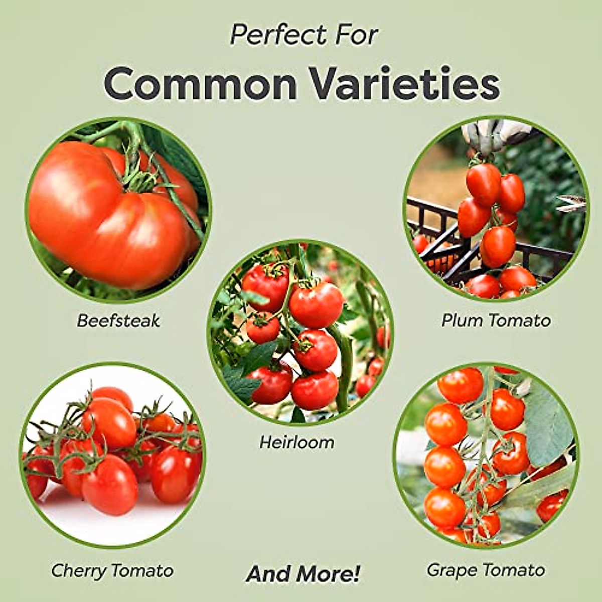 Perfect Plants Tomato Plant Fertilizer in 8oz. Bottle | Help Your Vegetable Garden Thrive | Rich in Essential nutrients