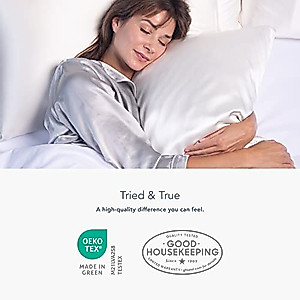 Fishers Finery 19mm 100% Pure Mulberry Silk Pillowcase, Good Housekeeping Quality Tested (Silver, S)