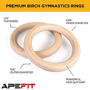 APEFIT Power Gymnastic Rings and Competition Straps | Quick Adjustment Carabiner | Anti-Theft Lock | Birch Rings | for Calisthenics, Gym & Bodyweight Training, PISP00120CARBRING