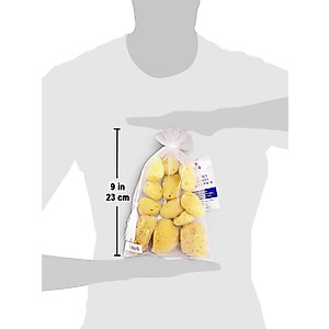 Natural Sea Silk Sponges 12pk: Size 9pc x1.5"-2.5" 3pc x 2.5"-3", like Cotton Balls, for Cosmetic Use, Makeup Application & Removal, Face & Eye Cleaning, with Luxury Gift Bag by Constantia Beauty®
