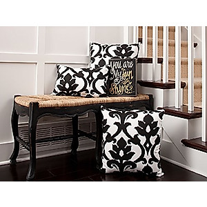 Pillow Perfect Paisley Outdoor/Indoor Throw Pillow Plush Fill, Weather, and Fade Resistant, Throw - 18.5" x 18.5" Black/White Azzure,