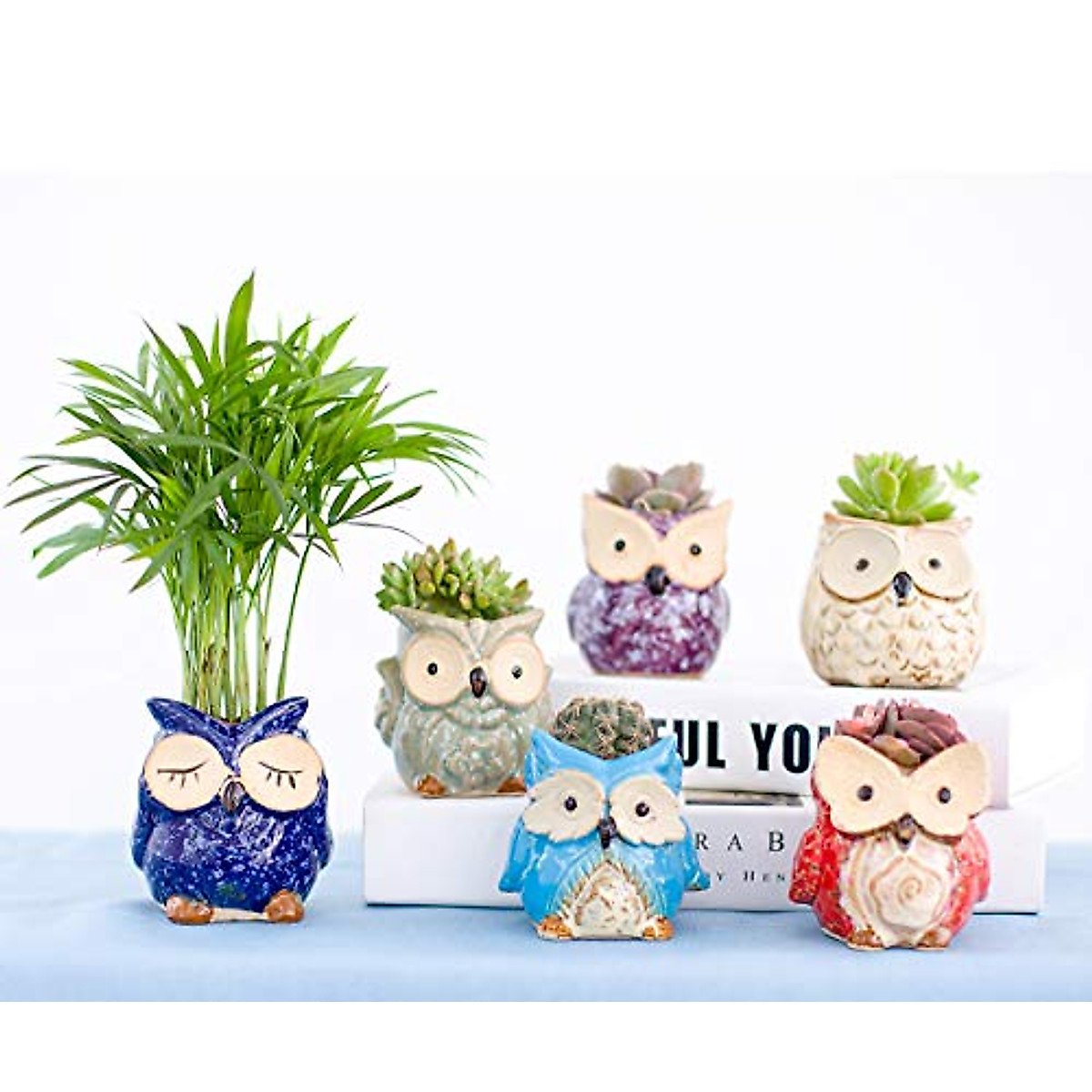 Claywa Ceramic Owl Succulent Pots Cute Animal Plant Planters 2.75" to 3.35" with Drainage Pack of 6 Plants Not Included