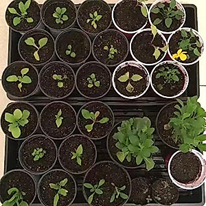 YTKD (10 Pack) 1020 Plant Growing Trays Extra Strength Durable Black Plastic Growing Trays for Seeds Seedlings Cloning Indoor Gardening, Sprouts and Microgreen(Without Drain Holes)