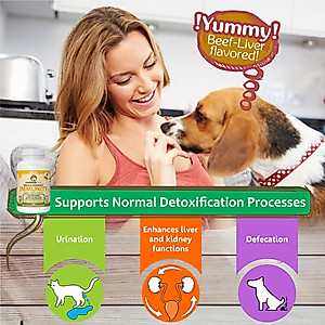 Immune Support Dog Supplement - Dog Allergy Relief with Vitamins, Minerals, Echinacea and Brewers Yeast for Dogs - Immunity Dog Health Supplies, Dog Itch Relief - Cat & Dog Vitamins and Supplements