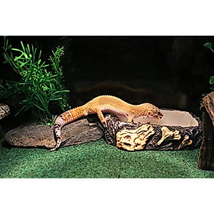 Penn-Plax Reptology Reptile Fossil Rock Food/Water Dish – Great for Bearded Dragons, Geckos, Chameleons, Snakes, Hermit Crabs, and Many More – Large