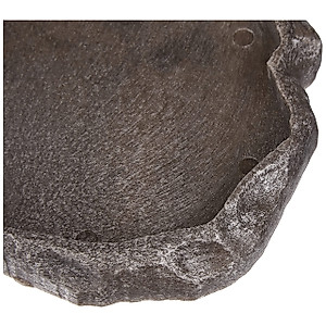 Zoo Med Reptile Rock Food Dish, Medium, 7.25"l x 6"w x 0.75"h, Colors may vary Black