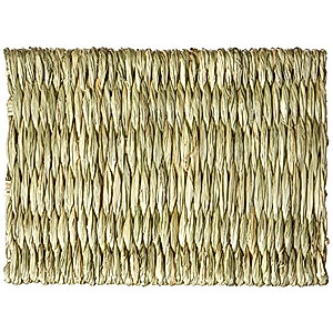 Oxbow Timothy Club - Timothy Mat for Pets, Medium, 2-Pack