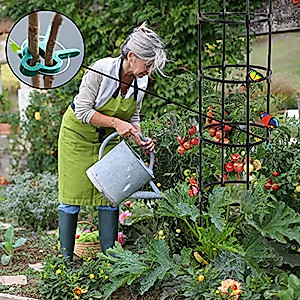 WellSign Obelisk Trellis for Climbing Plants Outdoor 6ft, Garden Tower Trellis for Potted Plants Indoor with Twist Tie, Clips and Butterflies Rustproof Coated Metal Support for Vines Rose 2Pack