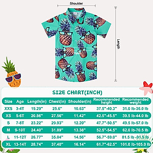 Boys Tropical Hawaiian Shirt Novelty Red Flamingo Animal Graphics Luau Shirts for Kids Button Down Short Sleeve Collar Tshirts Youth Fancy Green Leave Tops 9-10 Years Old Child Plaid Casual, Size 9-10