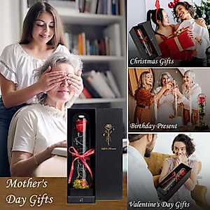 Mothers Day Rose Flower Gifts for Mom from Daughter and Son, Mom Gifts for Grandma, Unique Birthday Gifts for Women, Rose in Glass Dome, Beauty and The Beast Preserved Flowers Last Years- Red