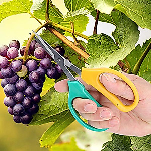 Gardening Shears, Curved Blade Grape Pruning Shears Stainless Steel Bonsai Shears Fruit Branch Picking Scissors