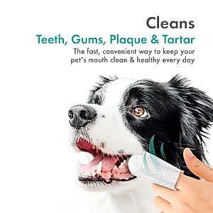 Petkin Fingertip Tooth Wipes for Dogs and Cats, 50 Finger Wipes - Slip-On, Snug Fit, Micro-Bristle Fabric - Cleans Teeth, Gums, Plaque & Tartar - Convenient, Ideal for Home and Travel - Fresh Mint