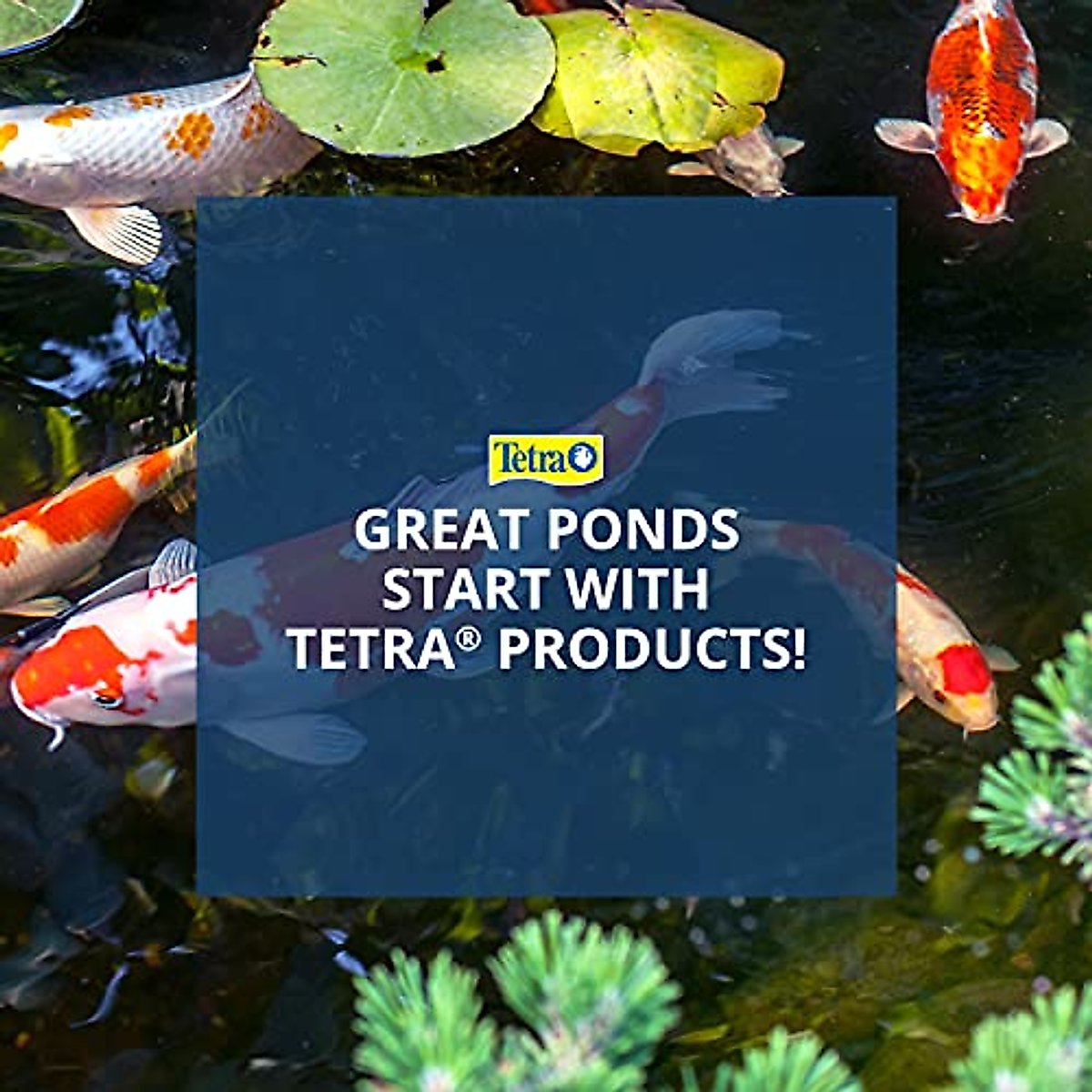 TetraPond Spring & Fall Diet Floating Pond Sticks, 1.72-Pound