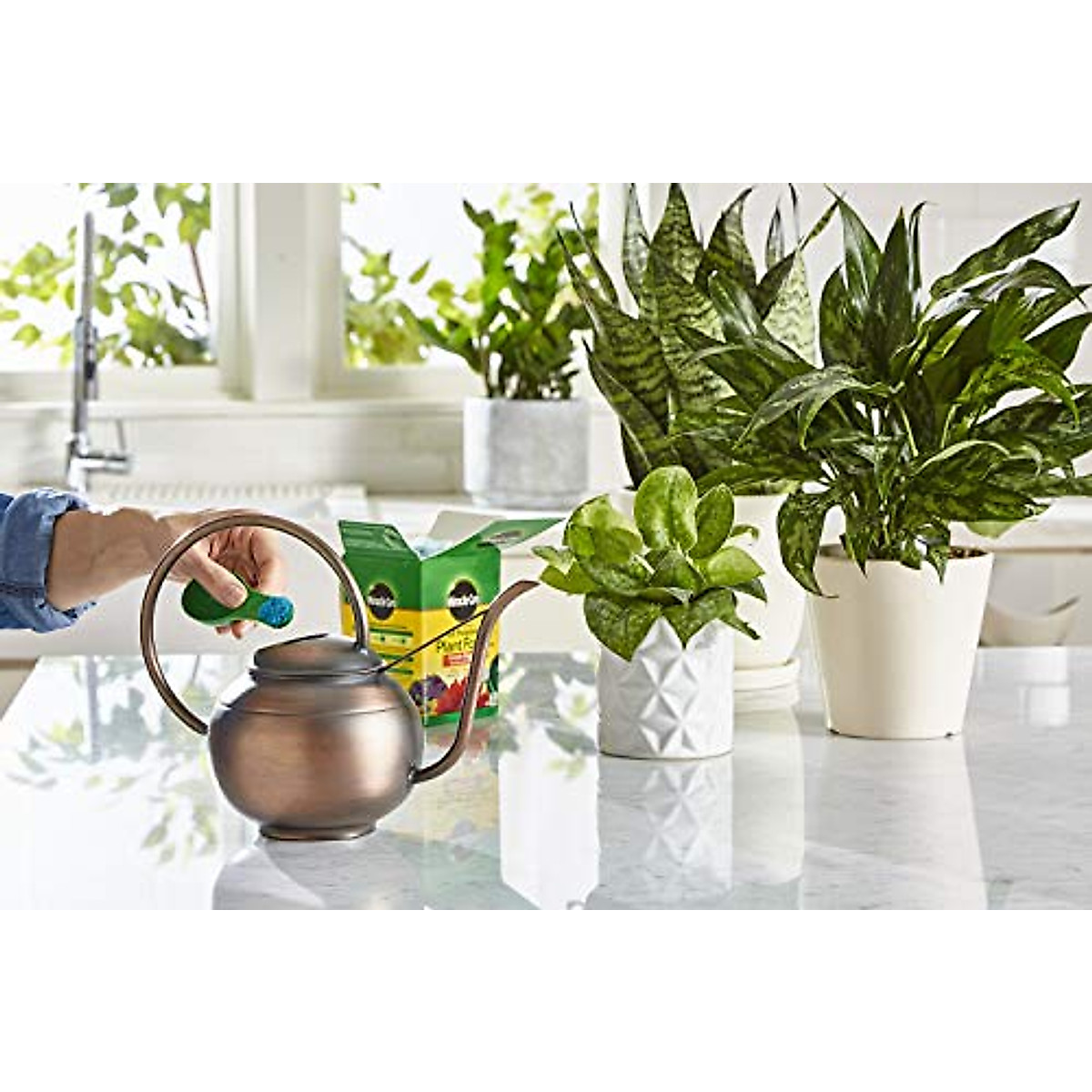 Miracle-Gro 2001123 All Purpose Plant Food Plant Fertilizer (6 Pack), 1.5 lb