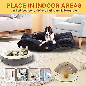 Flea Trap, 2 Packs of Sticky Flea Traps for Inside Your Home, with 12 Sticky Discs & 4 LED Bulbs & 2 Electric Wires, Indoor Bed Bug Trap Pest Control, Friendly to Pets & Children