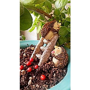 MUAMAX Miniatures Hedgehog Figurines Fairy Garden Hedgehog Accessories Suppliers Mini Hedgehog Animals Micro Landscape Bonsai Craft Decor Miniature Garden Ornaments