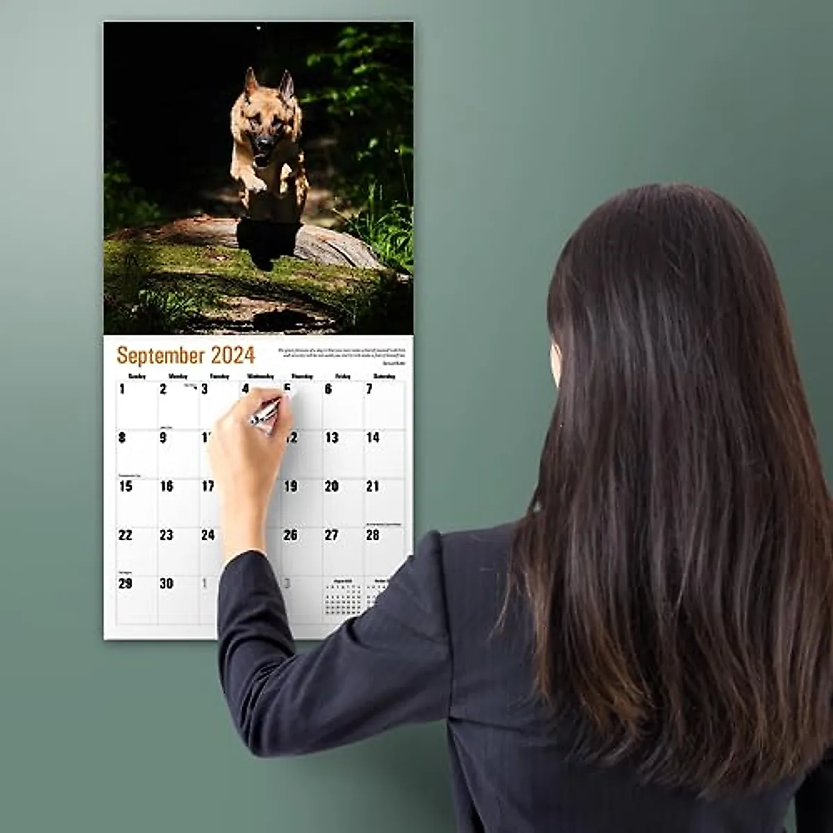 MICASA German Shepherds 2024 Wall Calendar 12 Month | 12" x 24" Open | Thick & Sturdy Paper | Giftable | Calendar 2024