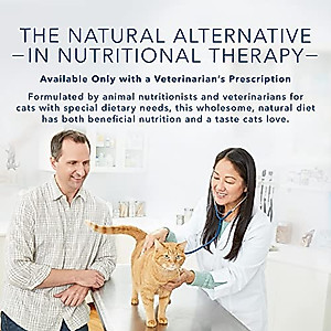 Blue Buffalo Natural Veterinary Diet K+M Kidney + Mobility Support Dry Cat Food, Chicken 7-lb bag