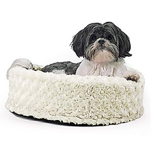 Furhaven Pet Bed for Cats and Small Dogs - Ultra Plush Curly Fur Mini Oval Cuddler Cat Bed with Removable Washable Cover and Pillow Cushion, Cream, 18-inch Round