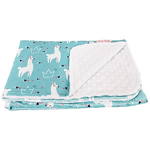 Top Tots Deluxe Minky Baby Blanket - Halloween Costumes, 40 x 29 Inch Orange