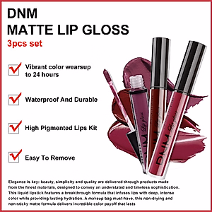 evpct DNM 3Pcs Dark Red Purple Plum Matte Liquid Lipstick Lip Stain Sets for Women Matte+Lipstick Dark Maroon Long Lasting Permanent Lipstick 24 hr Hours Magic Lipstick 24 Hours original Waterproof