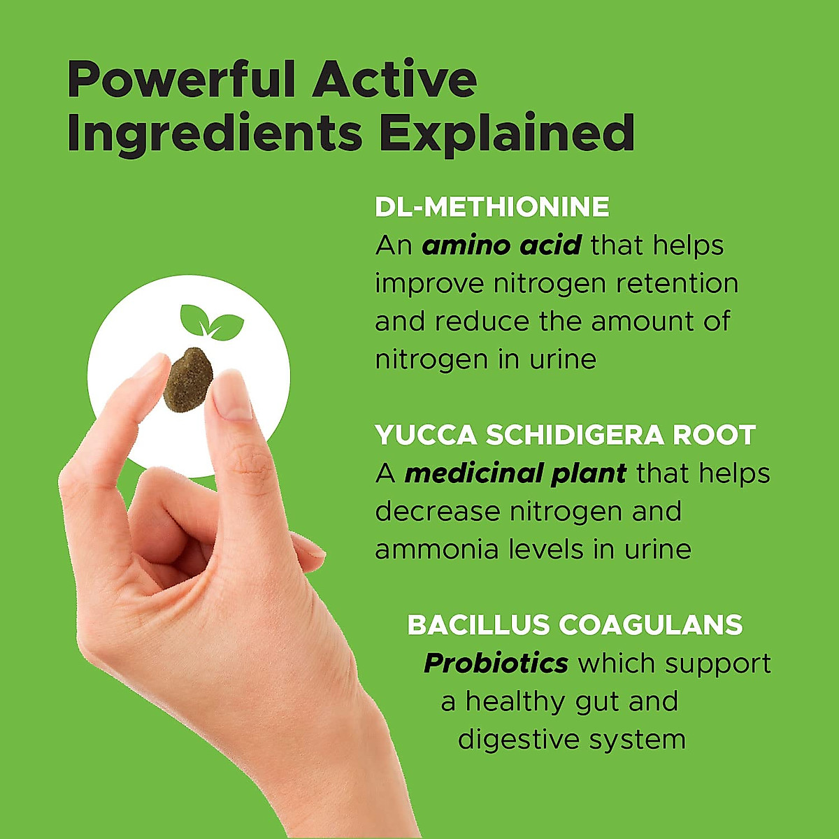 PetHonesty Flea & Tick Support + Grass Green Bundle - Natural Flea and Tick Soft Chew for Dogs, Pest Defense, Oral Flea Pills for Dog, Itch Relief, Digestive Enzyme for Dogs, Dog Pee Grass Lawn Spot S