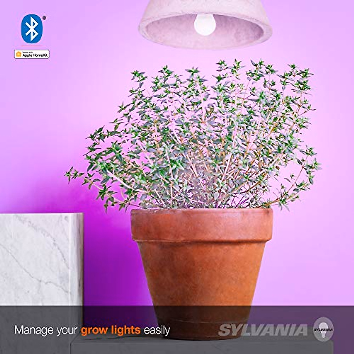 SYLVANIA Smart Bluetooth Smart Plug, Works with Apple HomeKit and Siri Voice Control, No Hub Required, White - 1 Pack (74582)