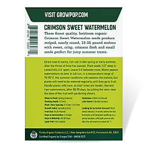 Organic Watermelon Seeds (Crimson Sweet) - Approx 12 Seeds - USDA Organic, Non-GMO, Open Pollinated, Heirloom, USA Origin