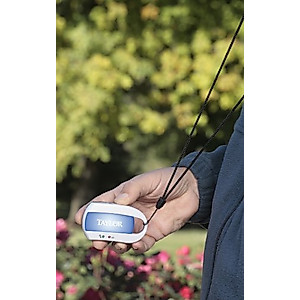 Taylor Gourmet Wireless Remote Thermometer