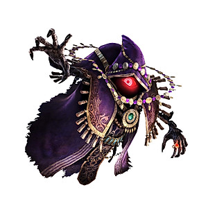 Hyrule Warriors - Nintendo Wii U (Renewed)