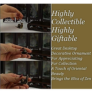 LOTONTJ Brass Statue Miniature Feng Shui Ornament Snail Turns Luck into Your Favor Tea Table Decorative Animal Sculpture Zen Garden Statue Home Office Figurine Attract Good Luck Money