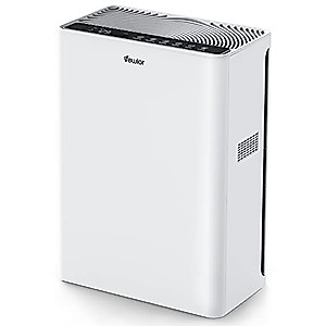 Air Purifier, Home Air Purifiers For Large Room Up To 1620 sq.ft, VEWIOR H13 True HEPA Air Filter With 5 Timer Settings 3 Fan Speeds, Ultra-Quiet Air Cleaner For Pets Dander Hair Smoke Smell Pollen