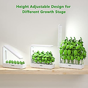 VegeBox 12 Pods Hydroponics Growing System - Indoor Herb Garden, Kitchen Smart Garden Planter, LED Grow Light with Plant Germination Kits(White)…