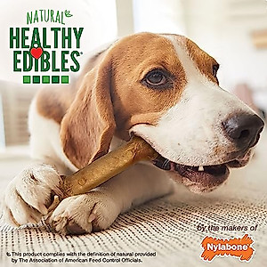 Nylabone Healthy Edibles Long-Lasting Dog Treats - Natural Dog Treats for Medium Dogs - Dog Products - Roast Beef Flavor, Medium/Wolf (2 Count)