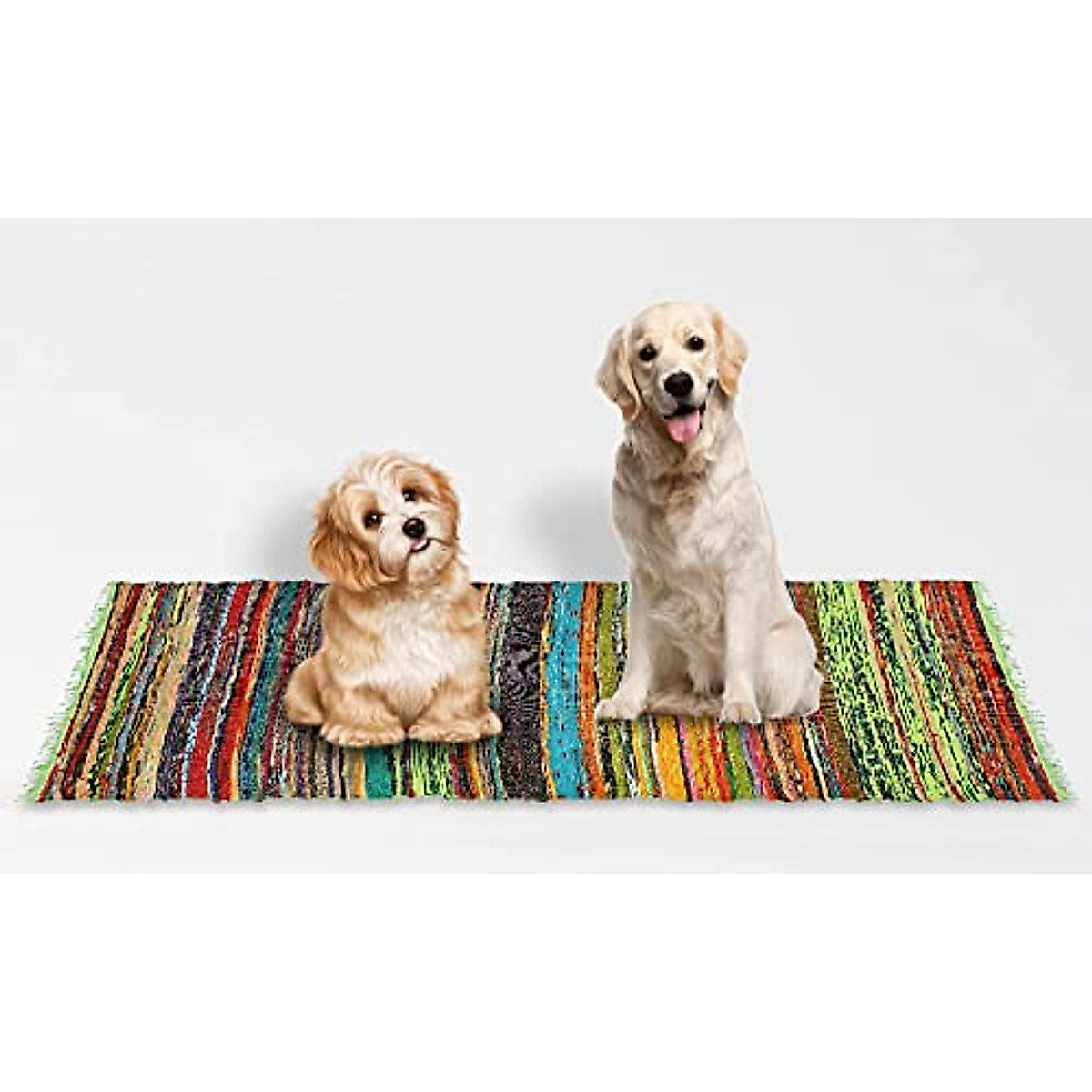 India Artistic Multi Color Chindi Rag Rug 4X6' | Hand Woven Rug & Reversible Rug | Recycled Cotton Chindi Rug for Living Room Kitchen | Rustic Rug | Cotton Rug | Runner Rugs (Green Colour)