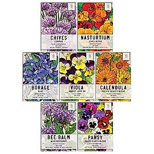 Seed Needs, Edible Wildflower Seed Packet Collection ( 7 Varieties of Flower Seed for Planting) Non-GMO & Untreated - Includes Viola, Pansies, Chives, Borage, Calendula, Nasturtium and Bee Balm