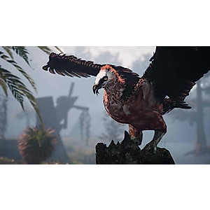 Away: The Survival Series (PS4)