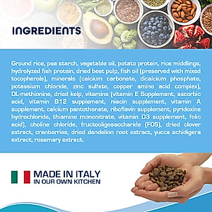 Forza10 Kidney Care Dog Food, Dry Renal Dog Food for Adult Dogs, 8.8 Pound Bag, Fish Flavor Kidney Failure Dog Food for All Breeds and Sizes